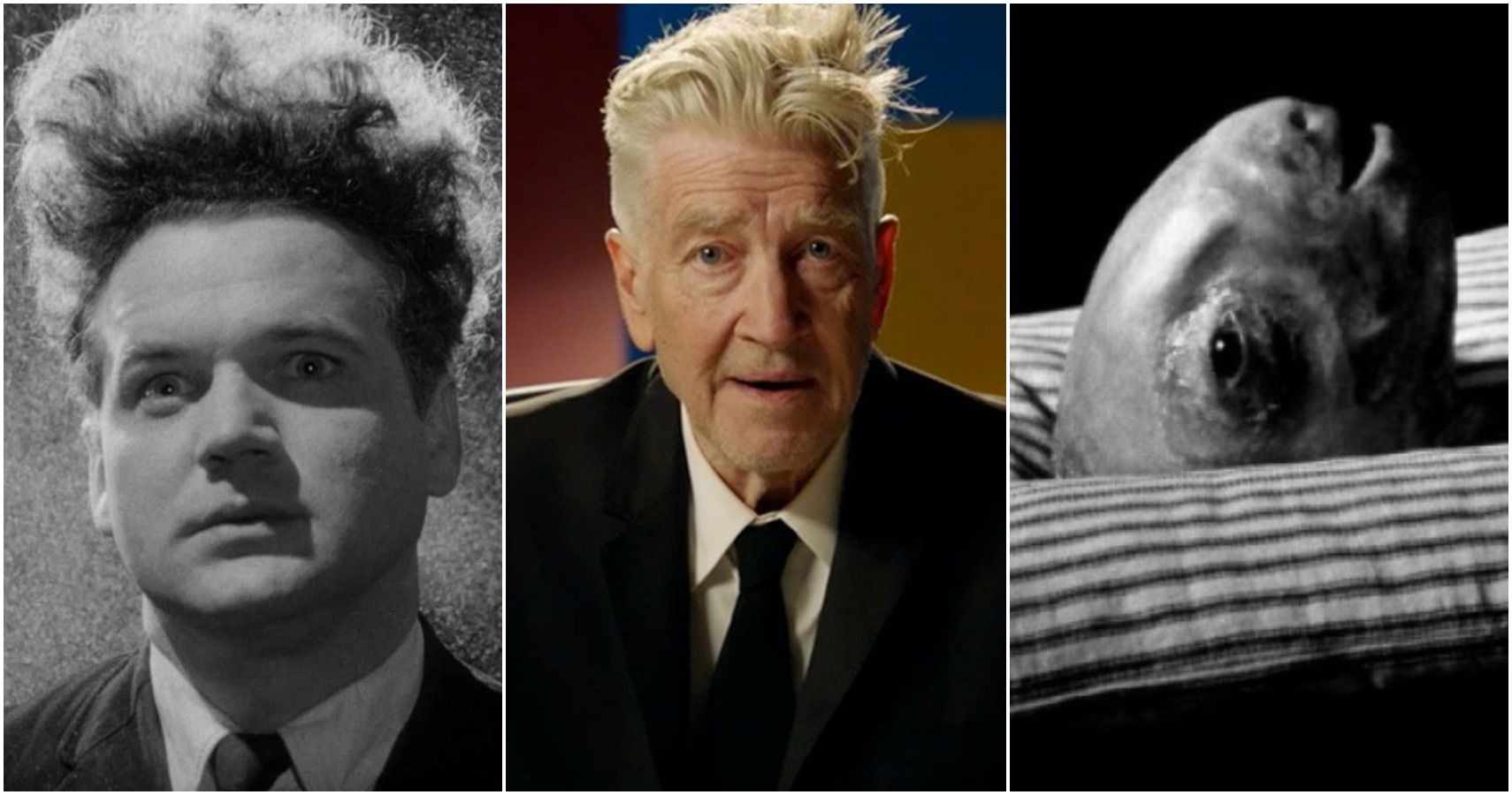 Eraserhead: 10 Behind-The-Scenes Facts About David Lynch's Surreal ...