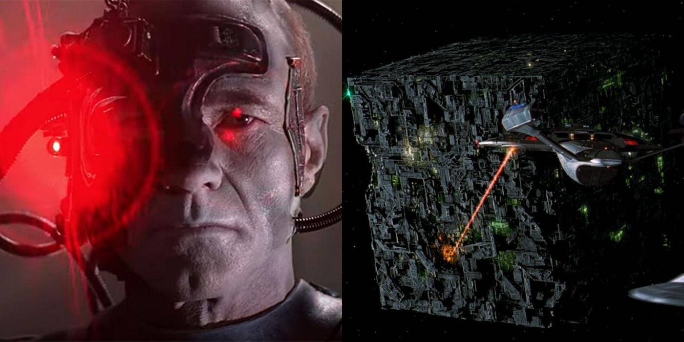 Star Trek: 5 Species The Borg Would Love To Assimilate (& 5 They Would ...