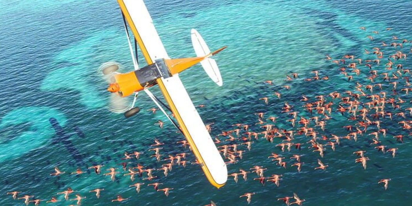 Microsoft Flight Simulator's New Console Accessibility Features