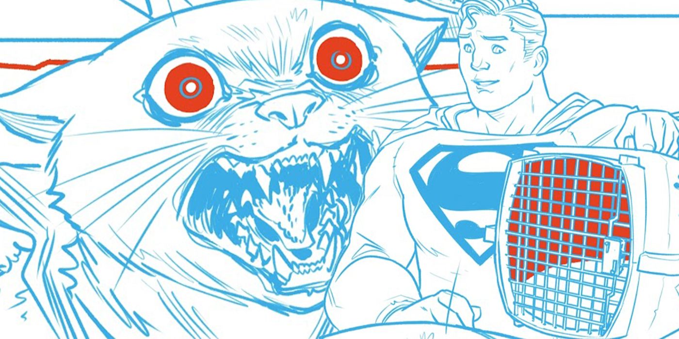 Superman: The True Danger of Streaky The Supercat Revealed By DC