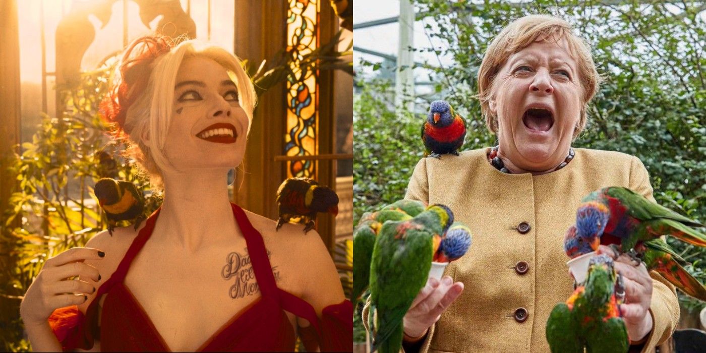 Harley Quinn Suicide Squad Scene Hilariously Recreated by German Leader