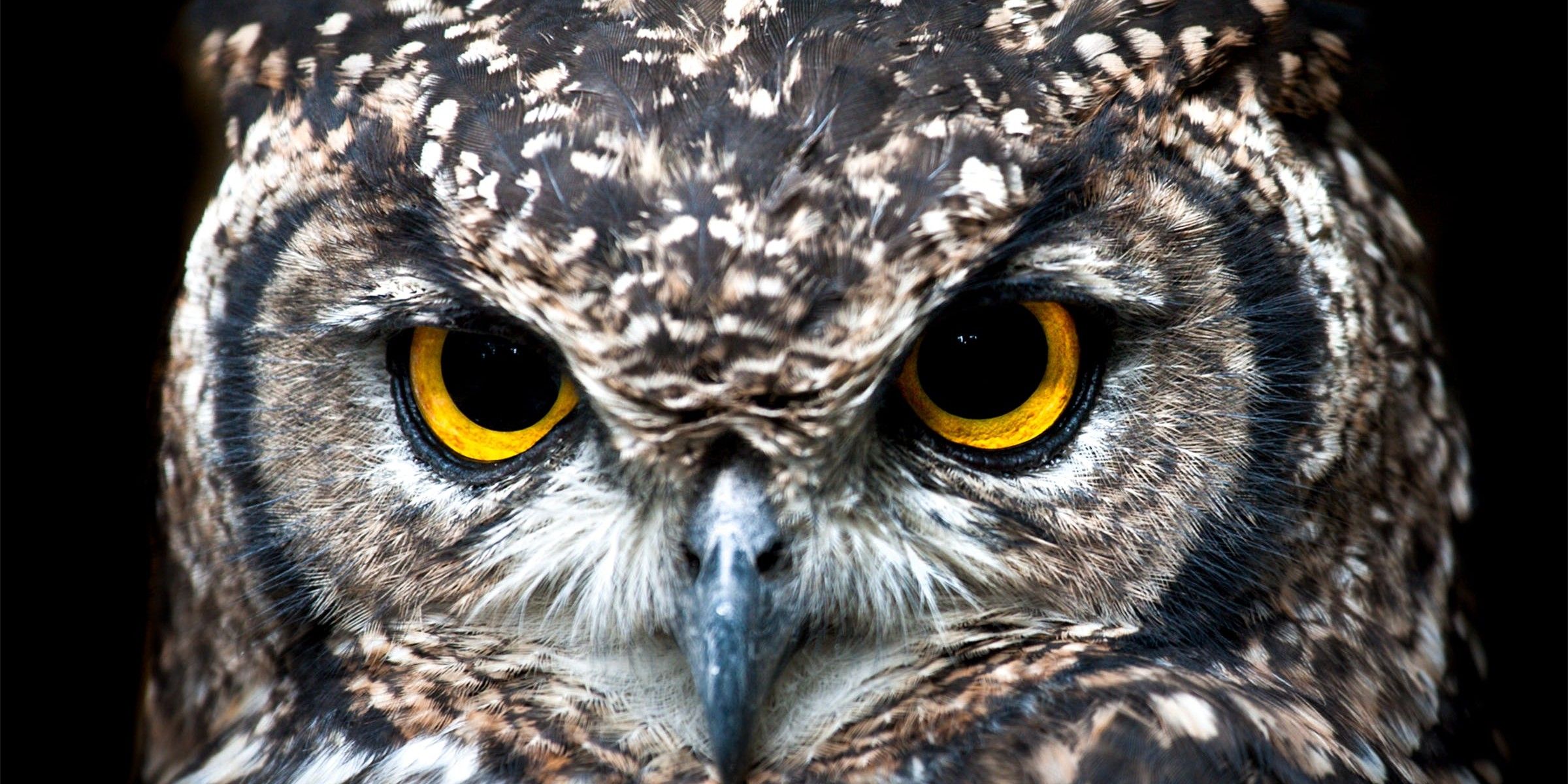 Scientists Made A 7-Question Test To Measure Your Wisdom