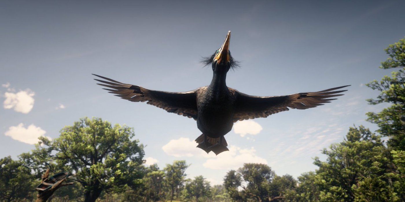 RDR2 Cormorant Locations & Hunting Guide | Screen Rant